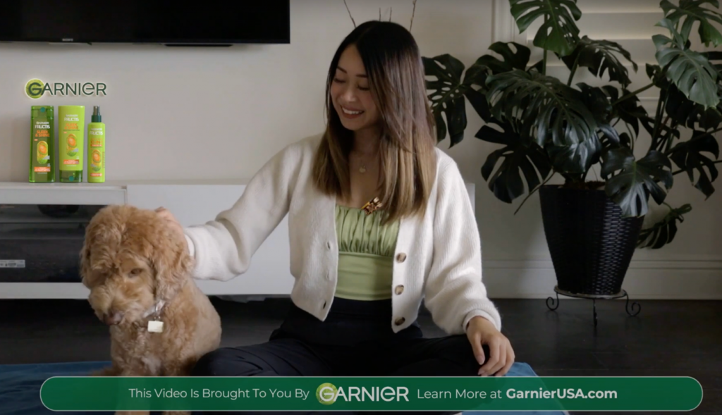 Rembrand | Adobe Video Partner Program